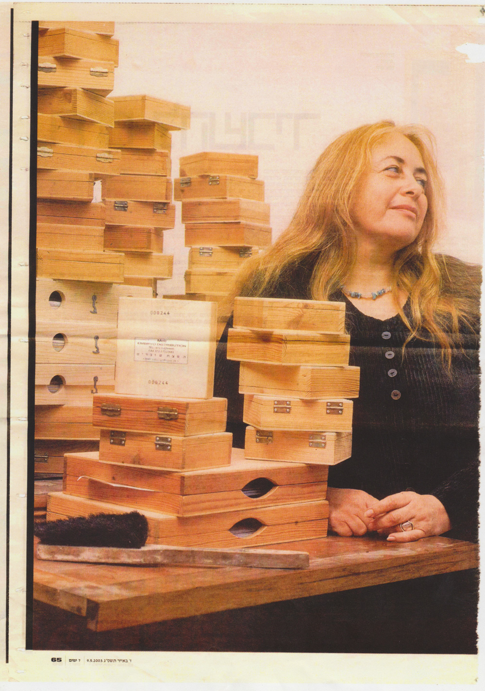 Womb for Rent – By Ayelet Negev – Is This Baby Yours?